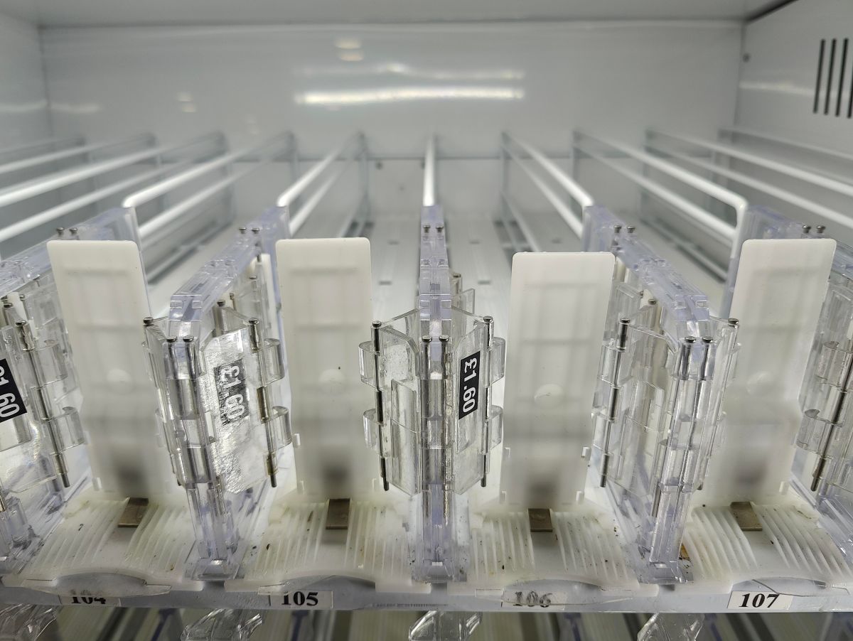 Sharp Scratch: 1. The Beginning – Achtarmas